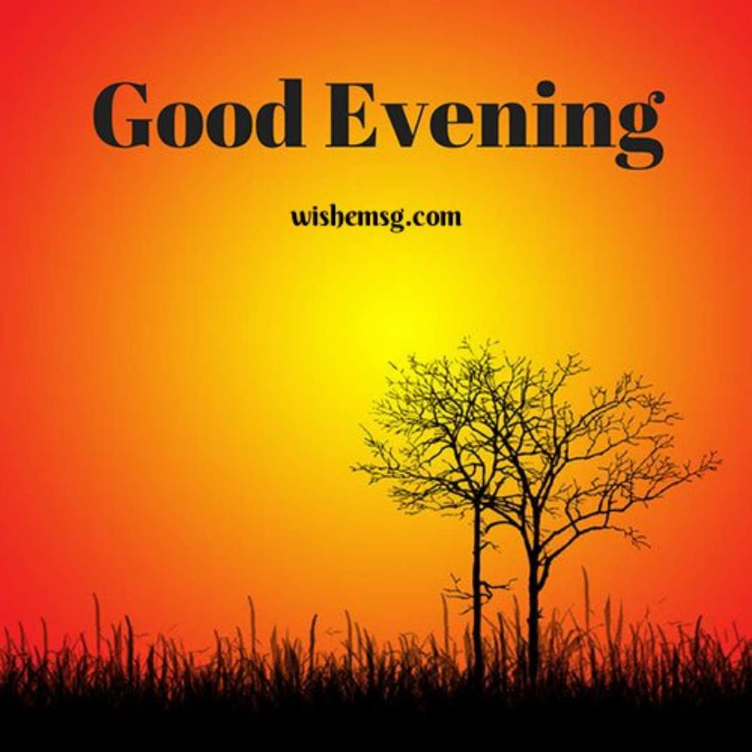 200+Good Evening Quotes Wishes & Images - Wishemsg.Com