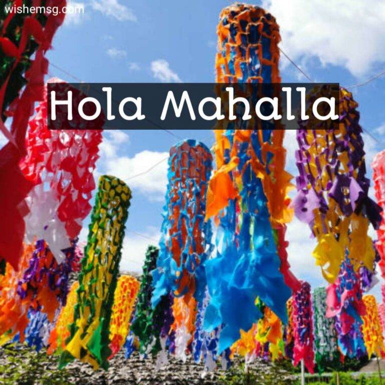 200+Happy Hola Mohalla Wishes and Quotes - Wishemsg.Com