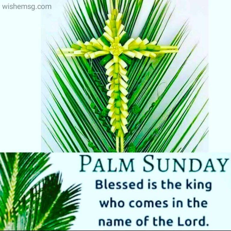 200+Happy Palm Sunday Greetings Wishes Message - Wishemsg.Com