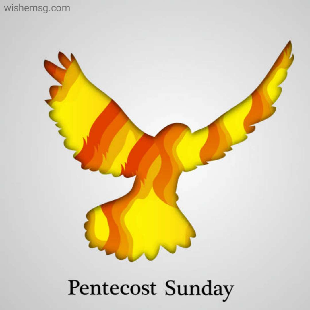 200+Happy Pentecost Wishes & Greetings and Quotes - Wishemsg.Com