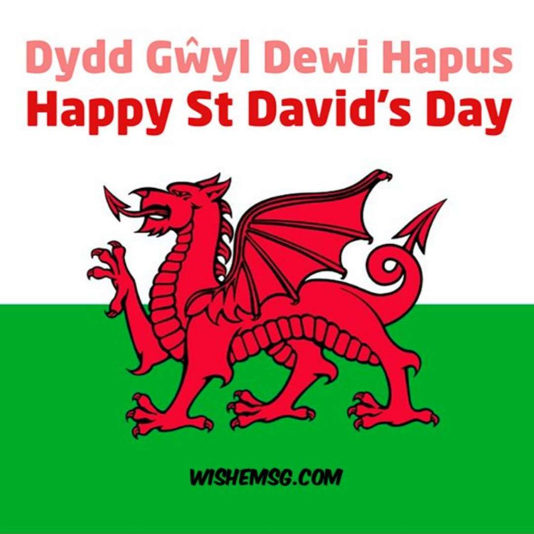 200+Happy ST David's Day Wishes & Images - Wishemsg.Com