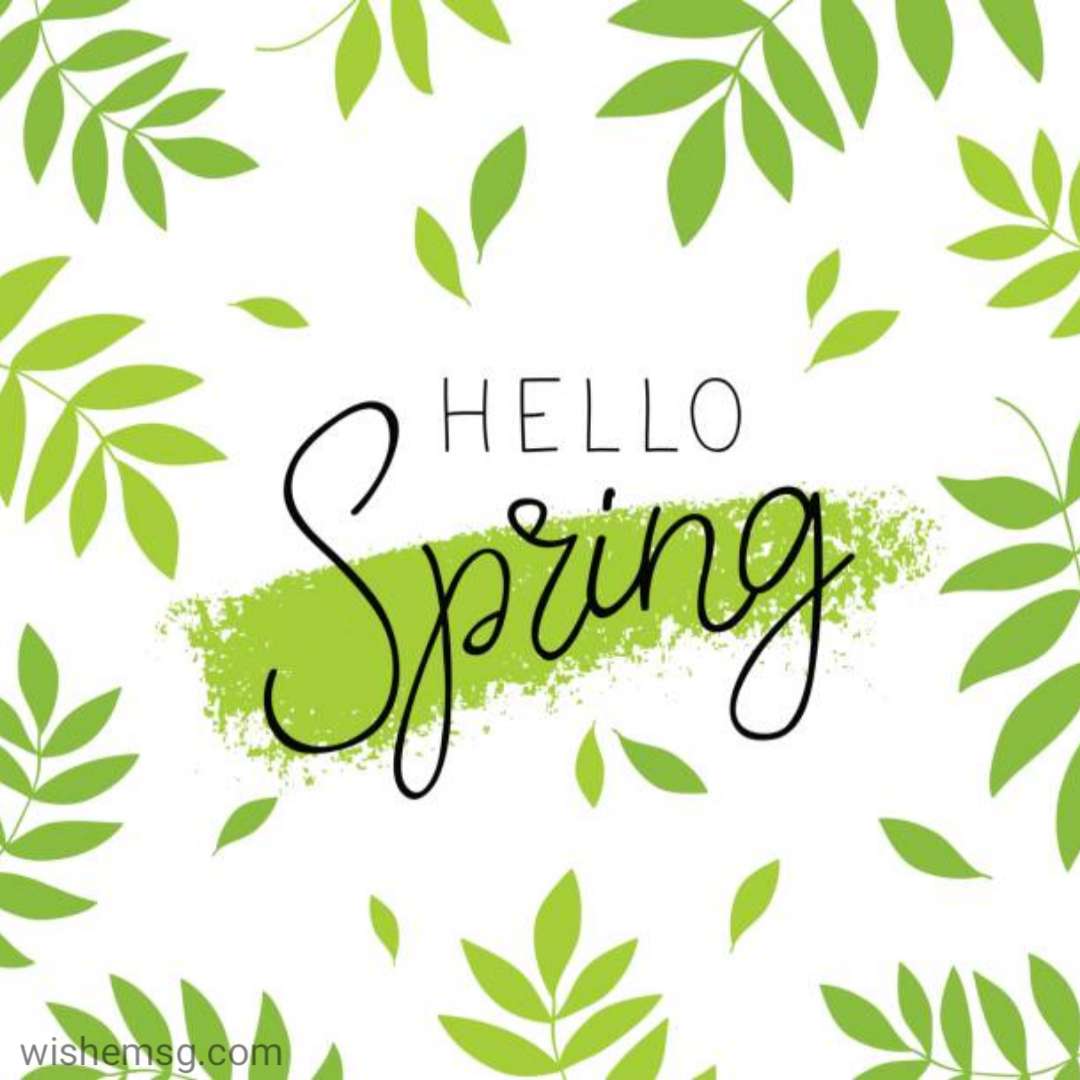 200+Happy Spring Equinox Quotes & Wishes - Wishemsg.Com