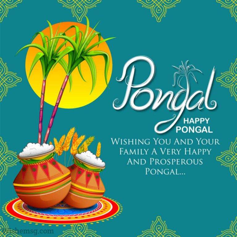 200+ Happy Pongal Wishes Quotes Images 2024 - Wishemsg.Com