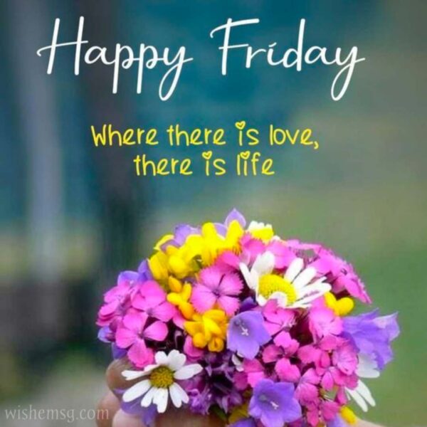 200+ Friday blessings wishes Quotes Images 2024 - Wishemsg.Com