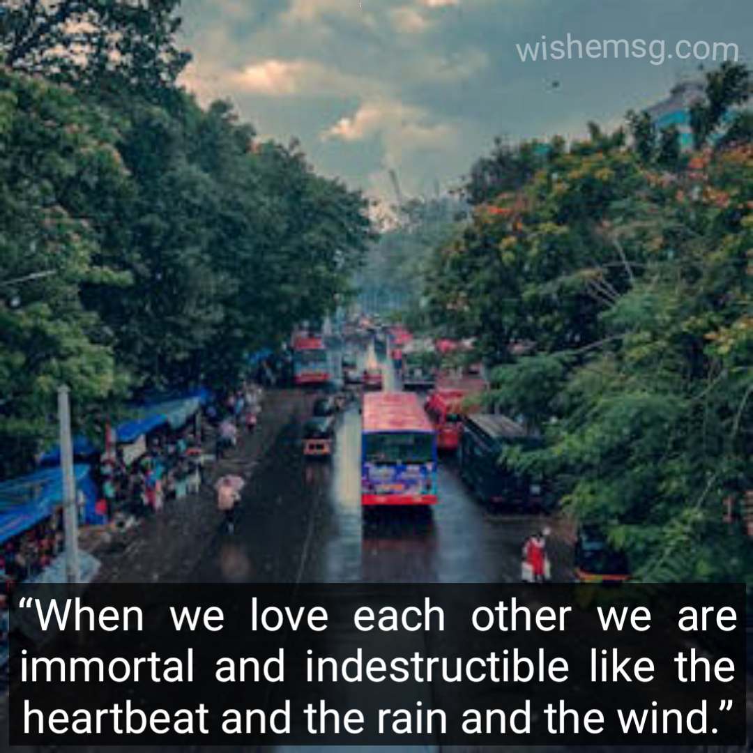 200+Happy Monsoon Quotes - Wishemsg.Com